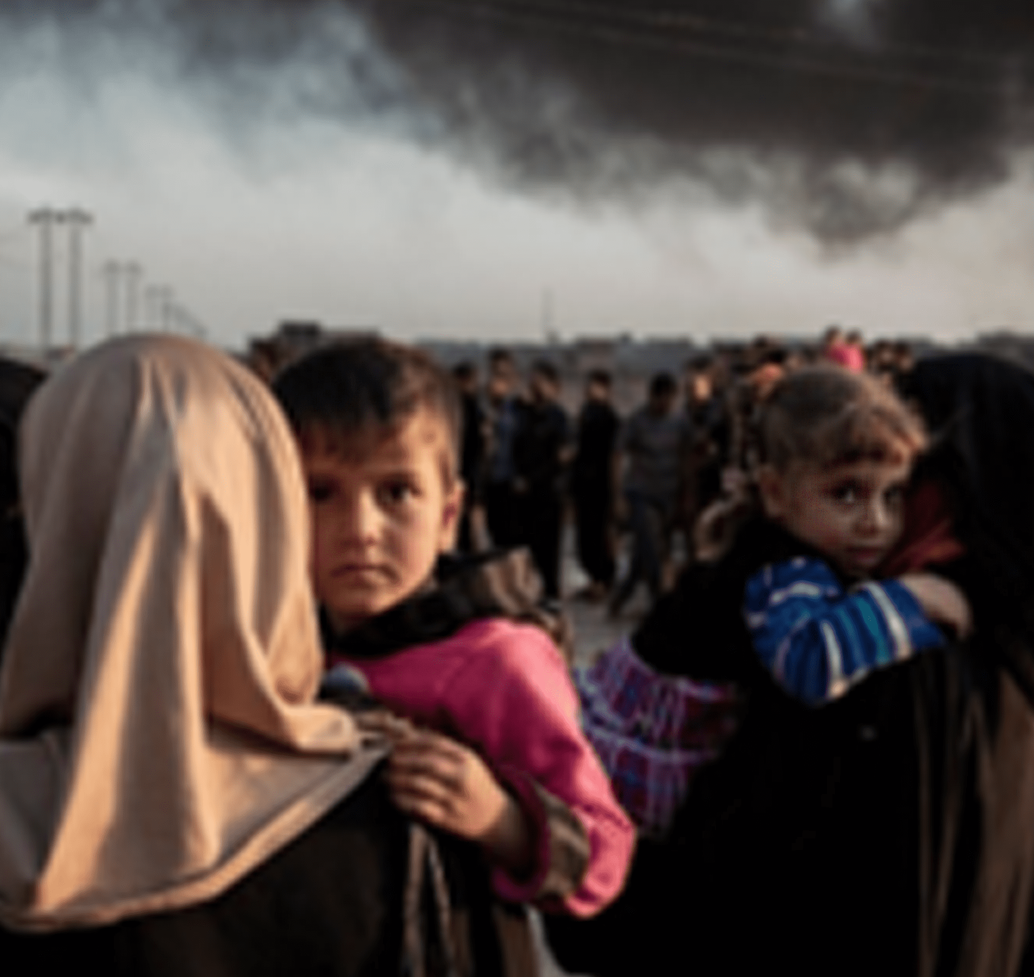 Lessons from the field: what role does the private sector play in ...