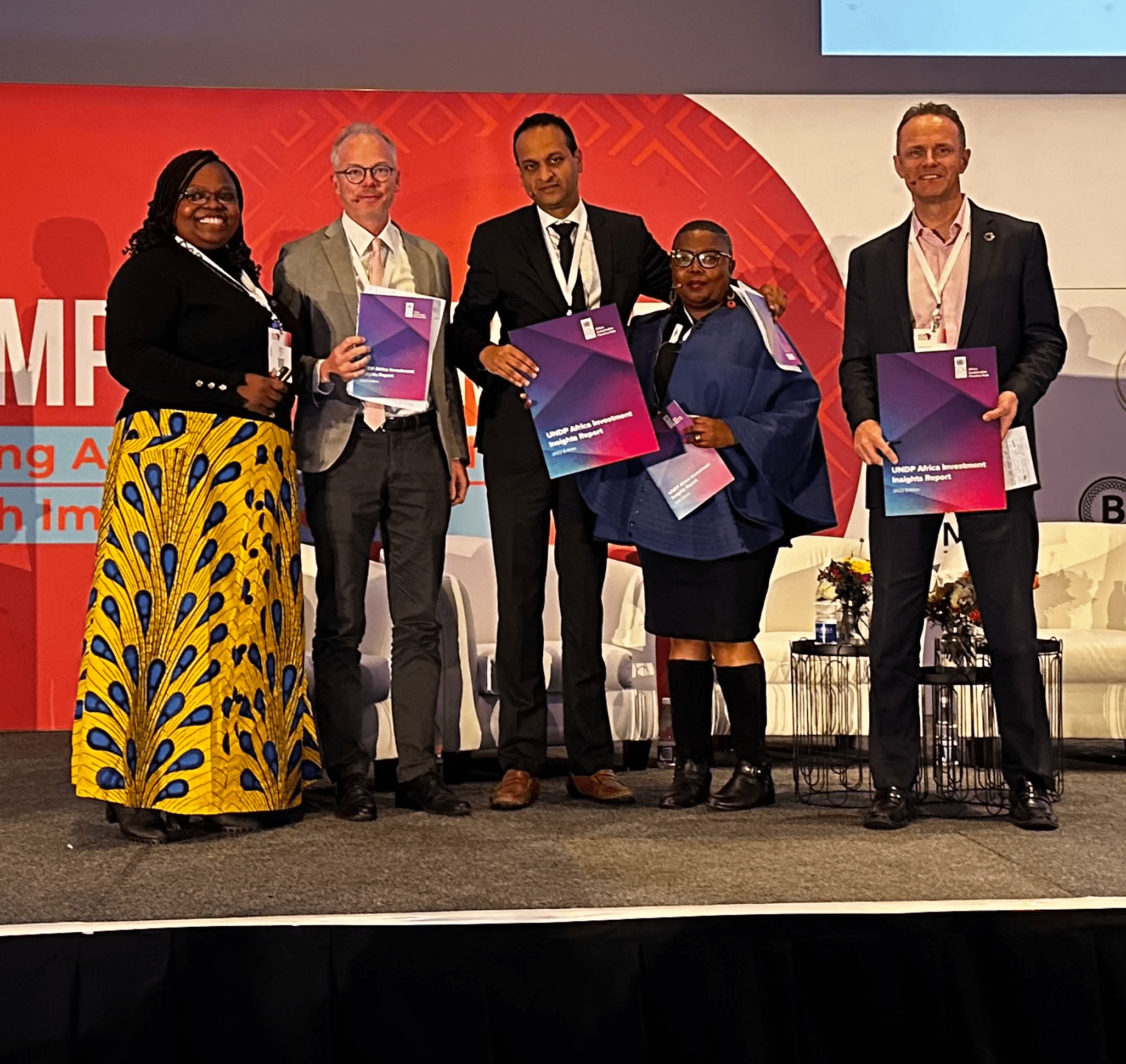 UNDP identifies Africa’s investment opportunities with both financial ...
