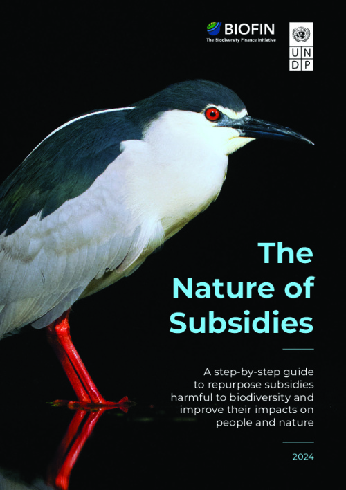 The Nature of Subsidies - A step-by-step guide to repurpose subsidies ...